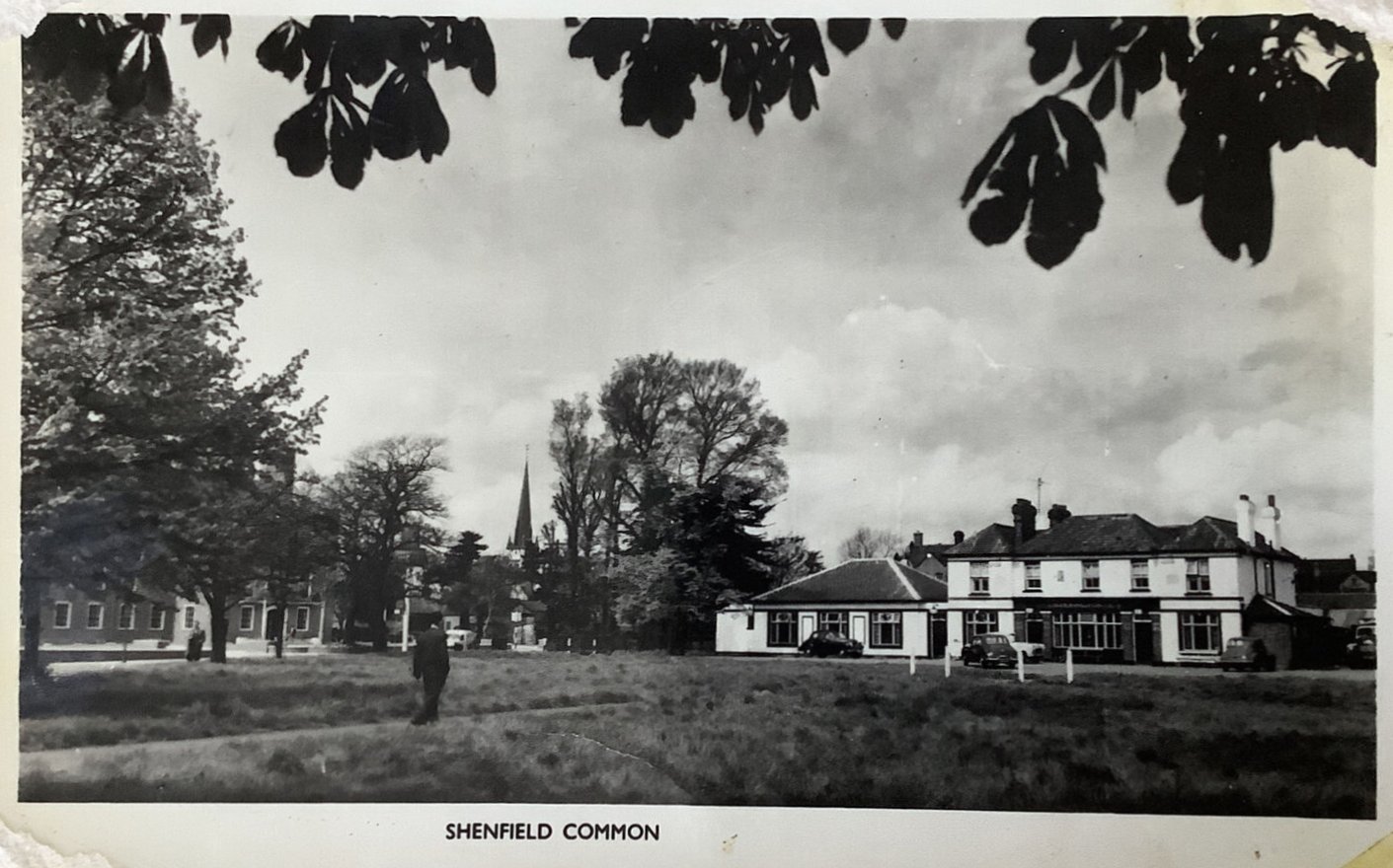 History of The Artichoke, Brentwood